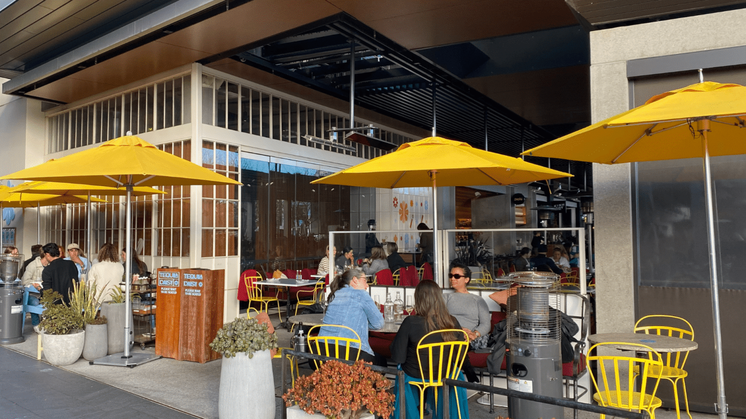 Eco-Friendly Practices for a Sustainable Cafe - A Minor Place